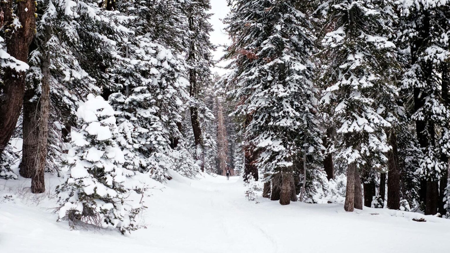 Murree – The Queen of Hills: Complete Travel Guide - Real Pakistan